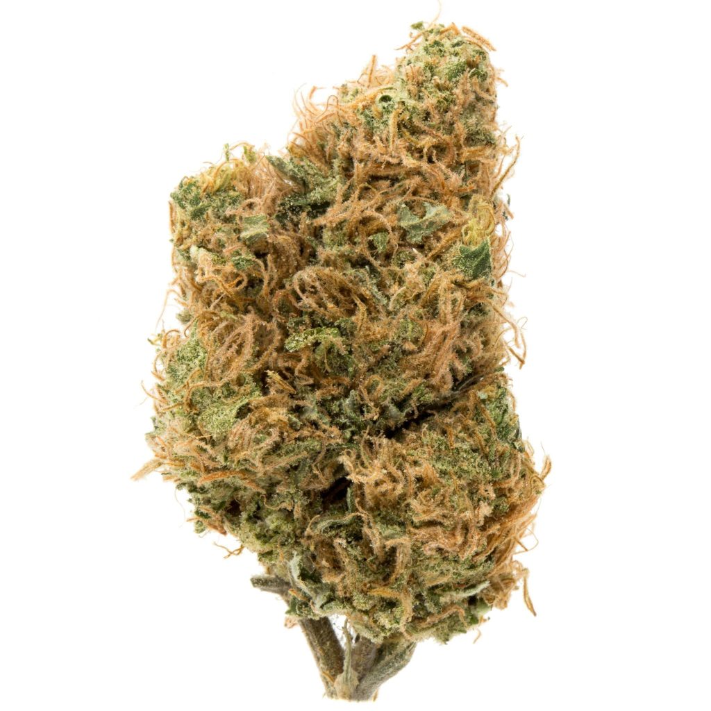 Cali Flower - Bubble Gum - Budcloud